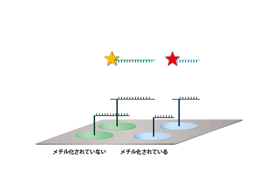 DNA Chip Genetic Analysis System -Toyo Kohan Co.,Ltd.